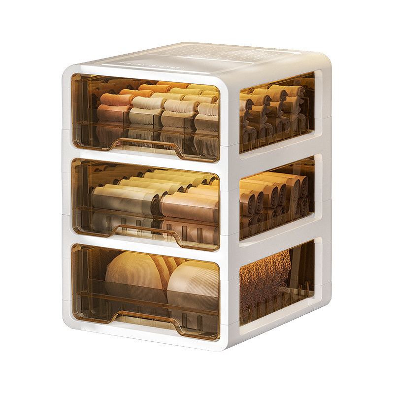 Sai Underwear Storage Box - Japanese Style Plastic Organizer