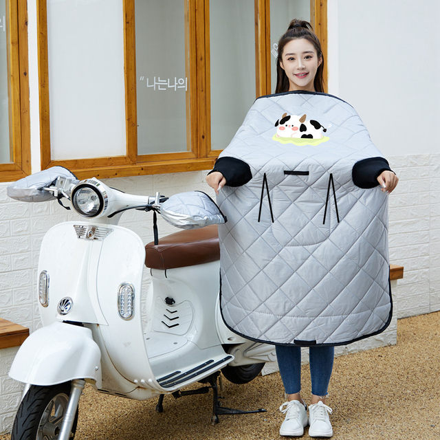 Splitted electric battery car windshield is blocked by winter plus ...