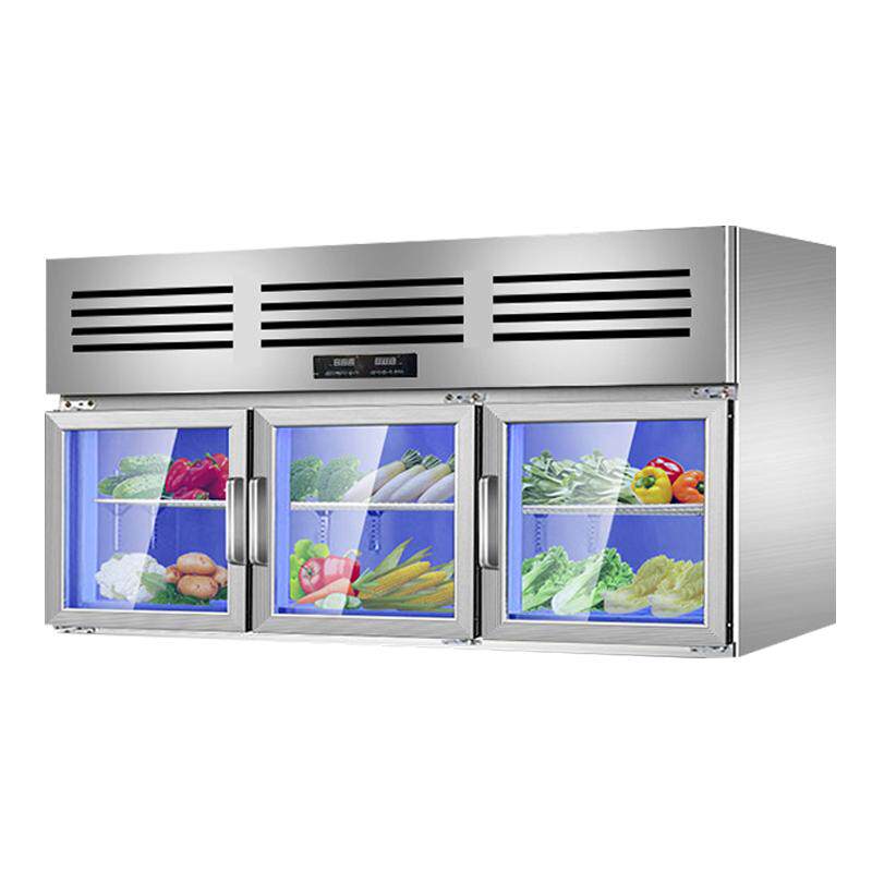 Snow Song 270L Stainless Steel Wall Mounted Refrigerator Freezer