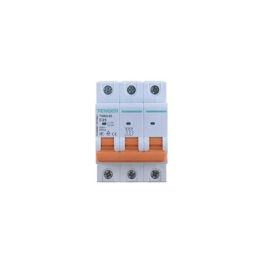 Tengen/Tianzheng DC Circuit Breaker 32A/63A 1P2P 1000V