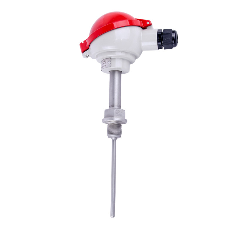 Armored Thermocouple K-Type PT100 Temperature Sensor with Temperature Transmitter