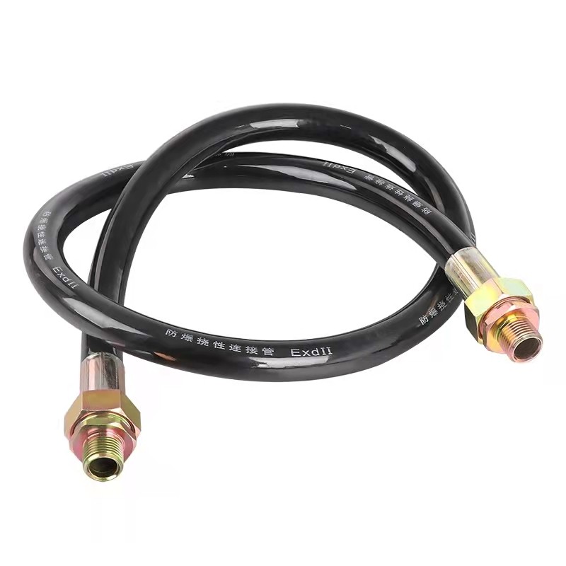 Explosion-Proof Flexible Connecting Hose Stainless Steel Metal Pipe M20 ...