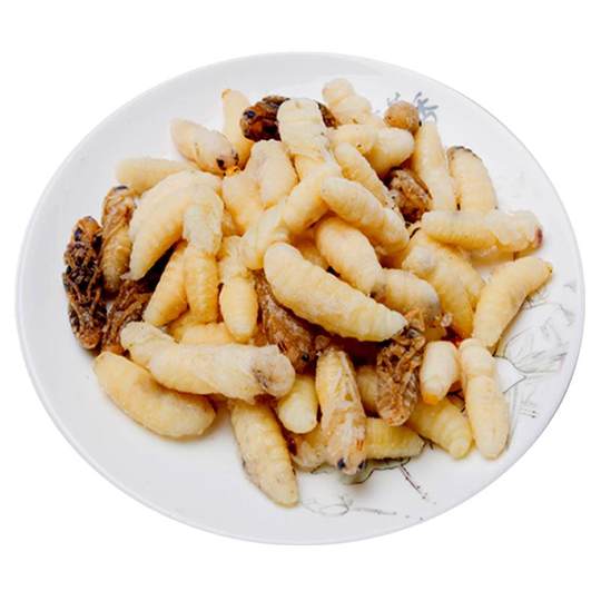 Wild Bee Pupae - Natural Fresh Wasp Pupae - 500g Pack for Cooking and ...