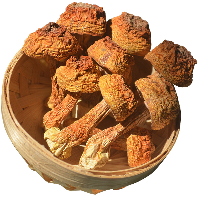 Hibiscus hall yunnan specialty agaricus blazei blazei mushroom sveže ...