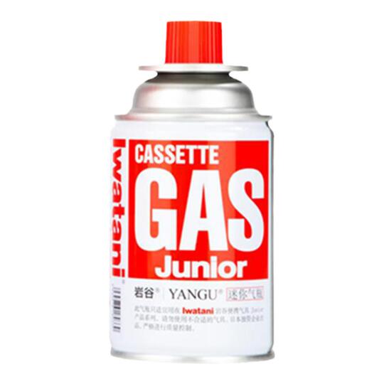 Iwatani Mini Butla Gazowa - 120g Przenośna Butla Gazowa do Użytku ...