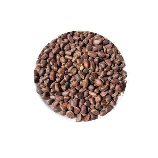 Noix de cèdre crues - snacks aux noix de pin et aux grains d'écureuil ...