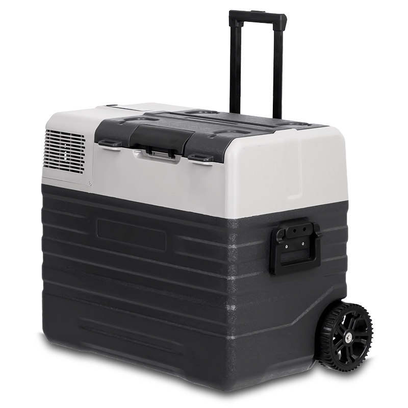 Alpicool Nx 20L prijenosni hladnjak za automobil - 12V/24V & 220V ...