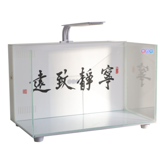 Fish Tank Living Room 2023 - Back Filter, Water-Change-Free Eco ...