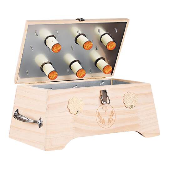 Moxibustion Box: Wooden Household Steam Box for Waist and Abdomen ...