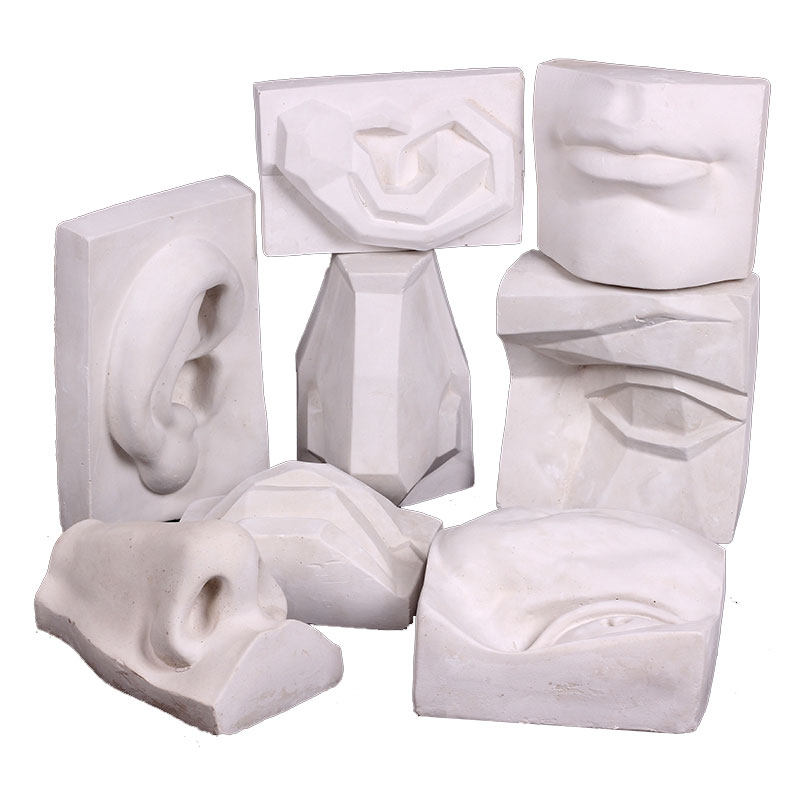 A Set of Plaster Geometry Sketches of Facial Features, Still Life, Real ...