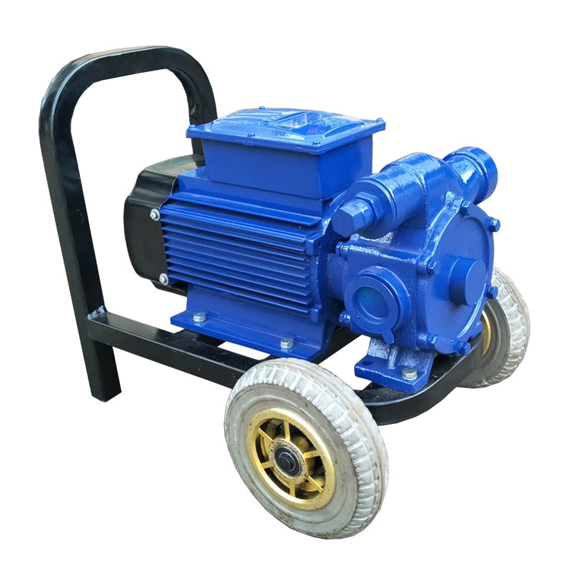 Large Flow Explosion-Proof Electric Oil Pump - Gasoline, Diesel, Methanol