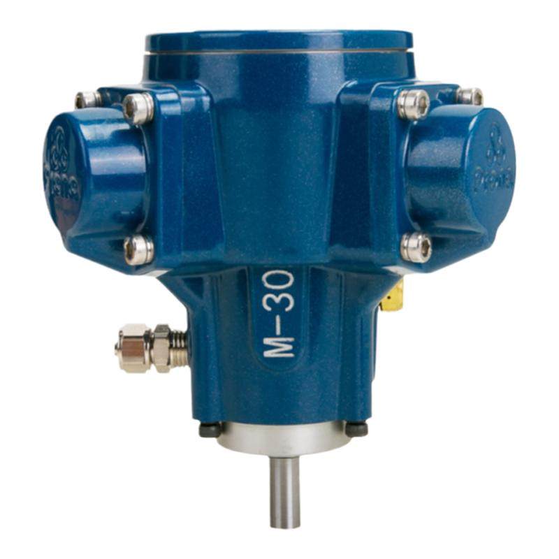 Prona M-30 Pneumatic Motor Agitator Parts - Seal Ring, Valve & Gauge