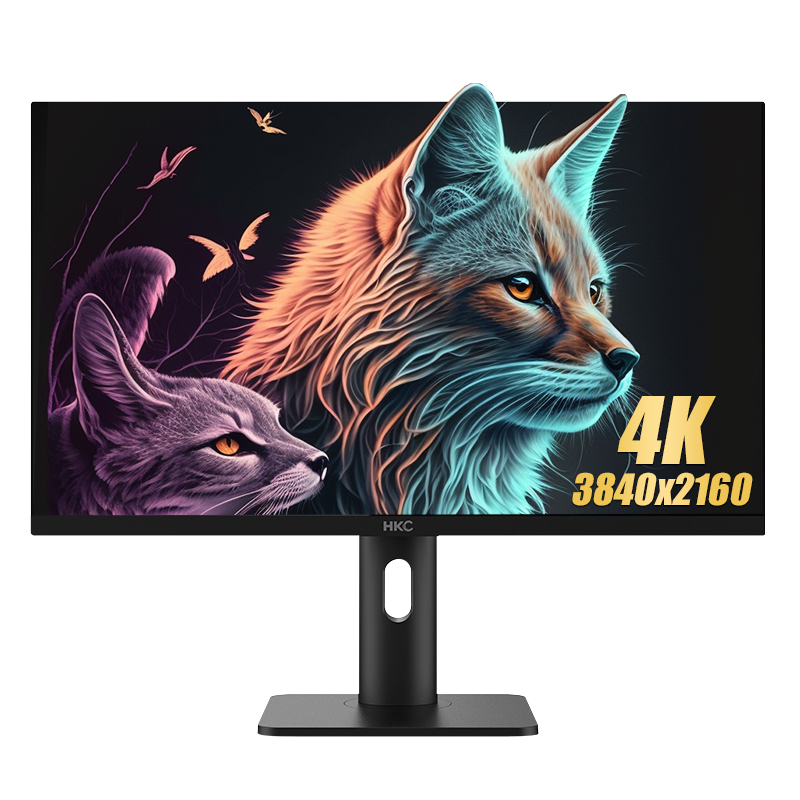 HKC P272U 27-inch 4K IPS Monitor