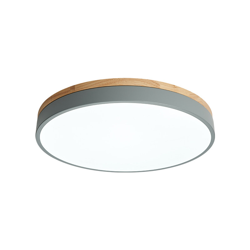 Nordic LED Circular Ceiling Light - Bedroom, Living Room & Study
