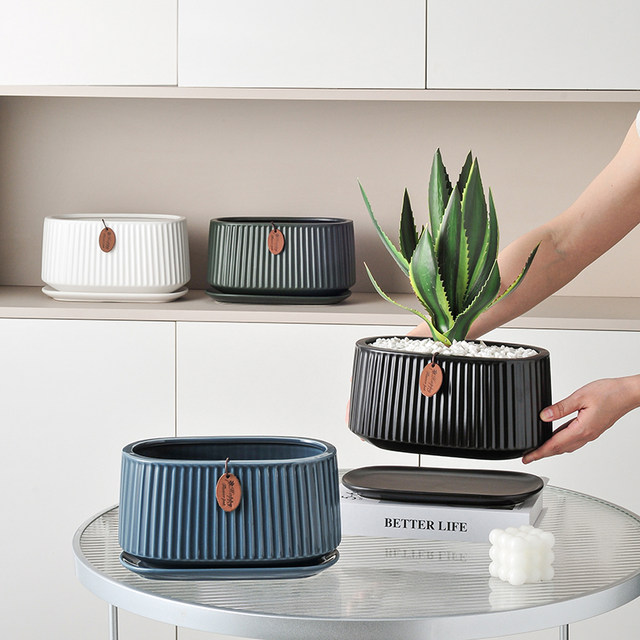 Succulent B & B Flower Basin large -caliber with holes and long oval ...