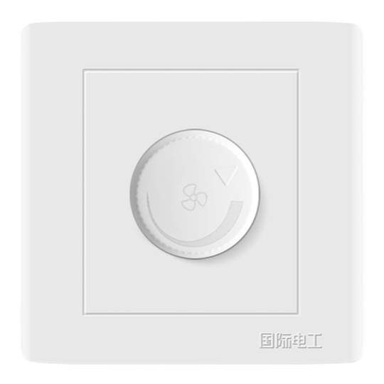 International Electrician 86 Ceiling Fan Speed Control Switch, Stepless ...