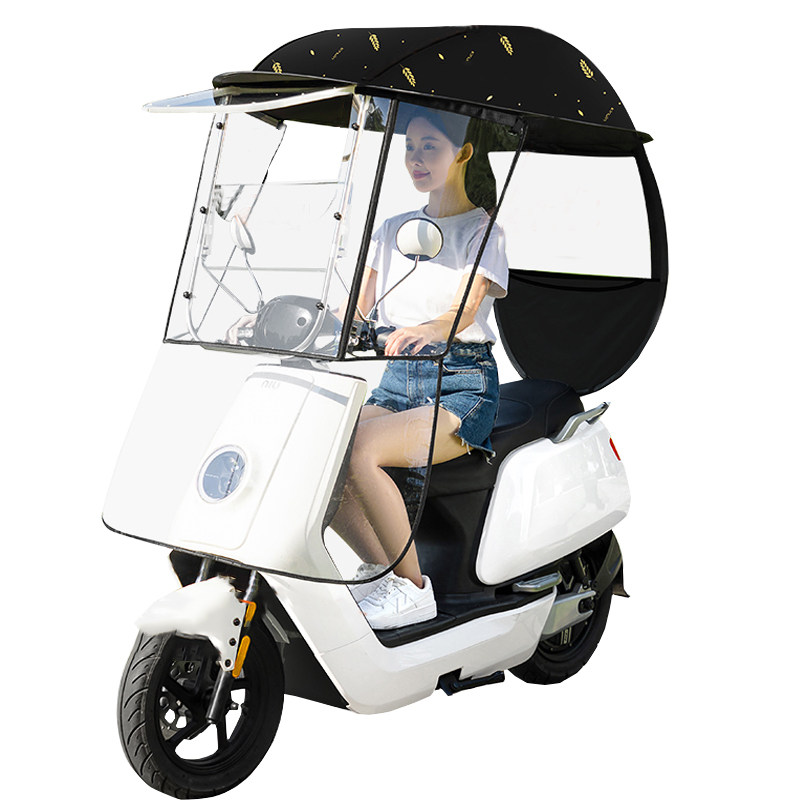Electric Car Canopy - Rain & Sun Protection
