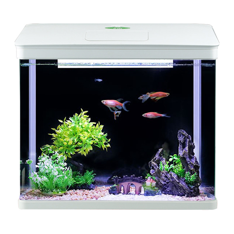 Jialu Small Desktop Fish Tank - Ecological Goldfish Bowl