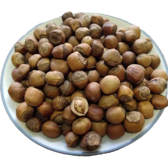 Daxing'anling Wild Hazelnuts 500g, Fried & Cooked, Northeast Zhalantun ...