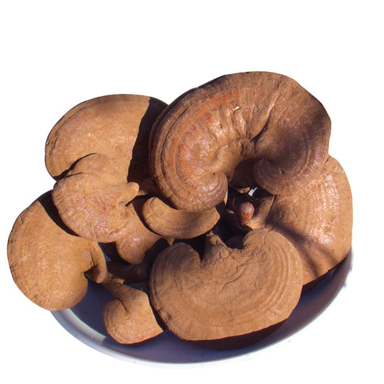 Semi-Wild Red Ganoderma Spore Powder 500g Pack