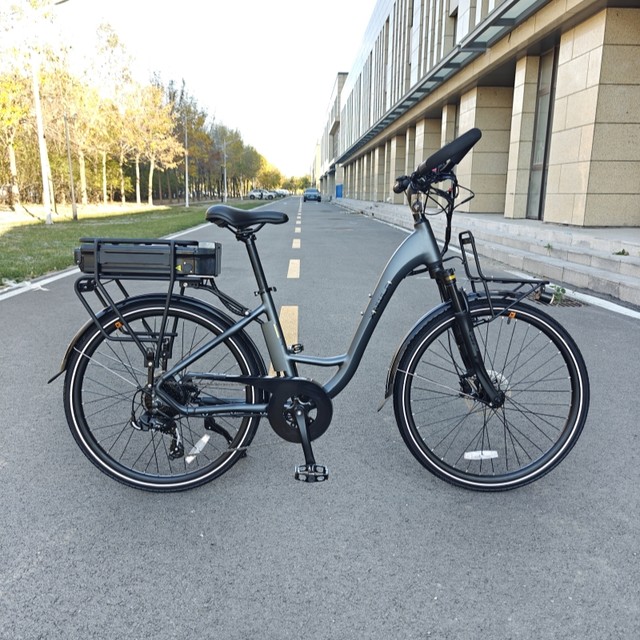 ZX200 power-assisted bicycle variable speed long-distance travel ...