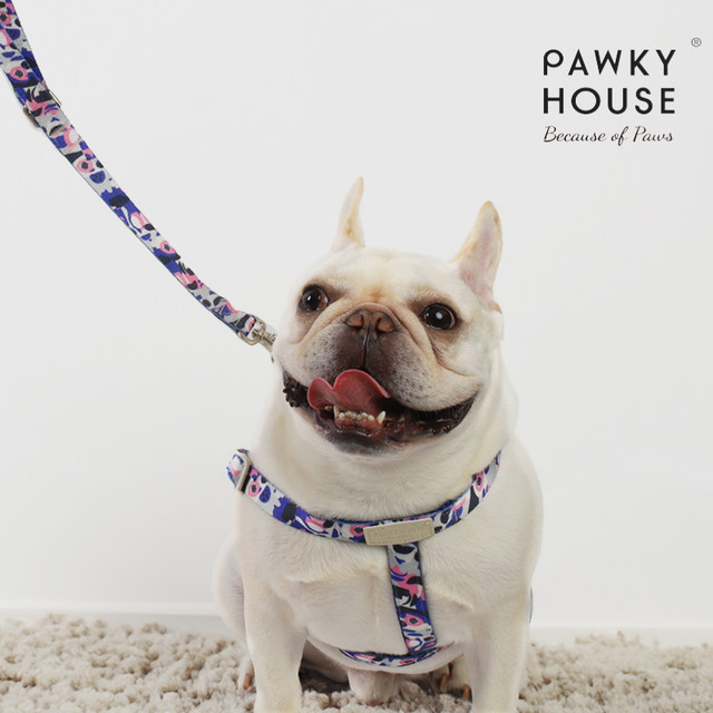 QZee Pawky House with claws multifunctional dog traction rope Corki ...