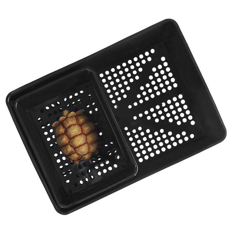 Small Green Turtle Isolation Box - Yellow-Throated Water Turtle ...