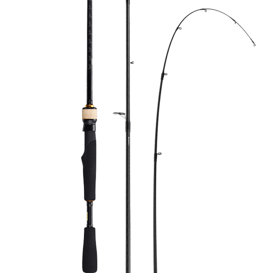 Daiwa Bass XY Carbon Angelrute - Weitwurf Rute