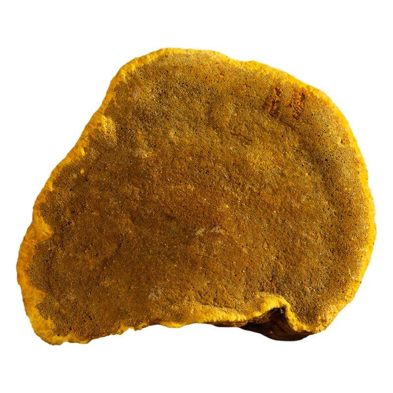 Прах от Xunbaicao Phellinus Linzhi Mulberry Yellow Ganoderma Lucidum - 500g