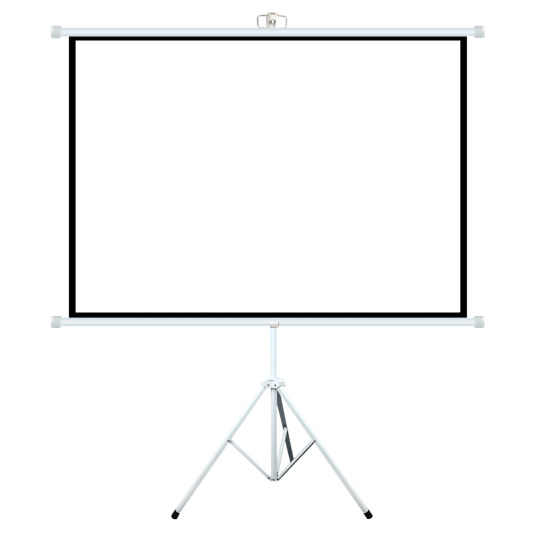 Portable Projector Screen in Various Sizes and Resolutions for Home ...