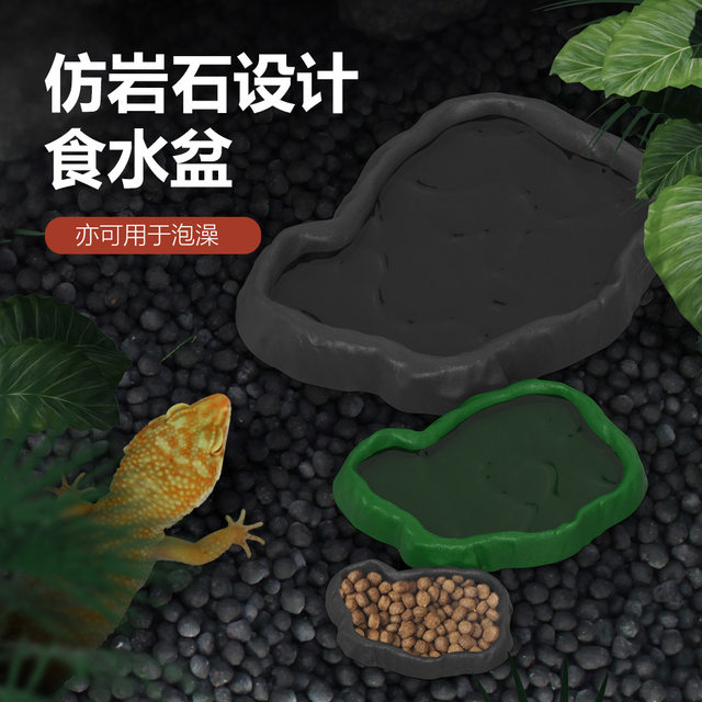 NOMO Noromo Crazy Pets Ridies Drinking Lizard Lizard imitation rock ...