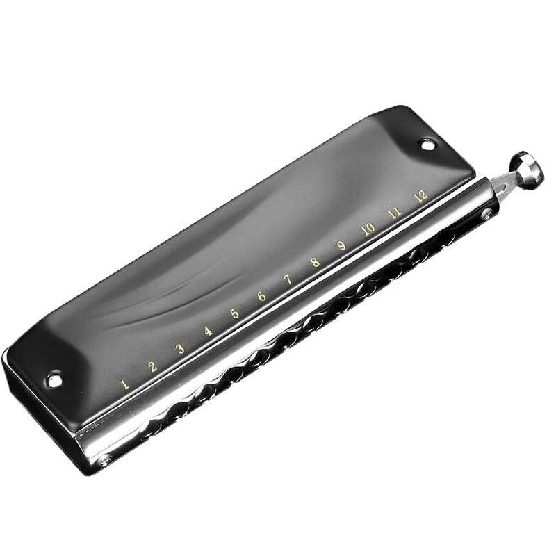 JDR 12-Hole Chromatic Harmonica - Professional C Key Instrument for ...