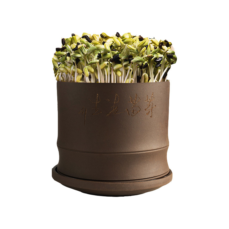 Ceramic Bean Sprout Pot for Hydroponic Vegetable Cultivation