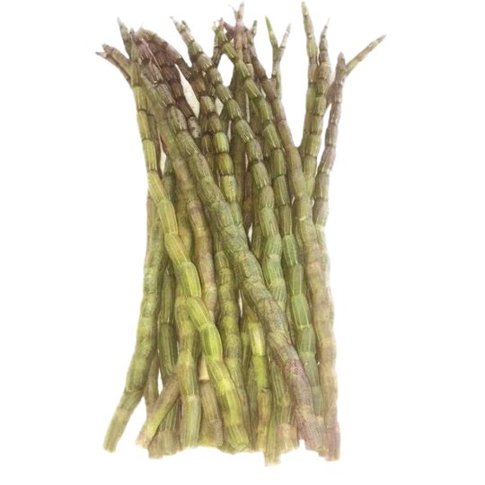 Authentic Dendrobium Candidum Strips 500g | Edible Wild Maple Bucket ...