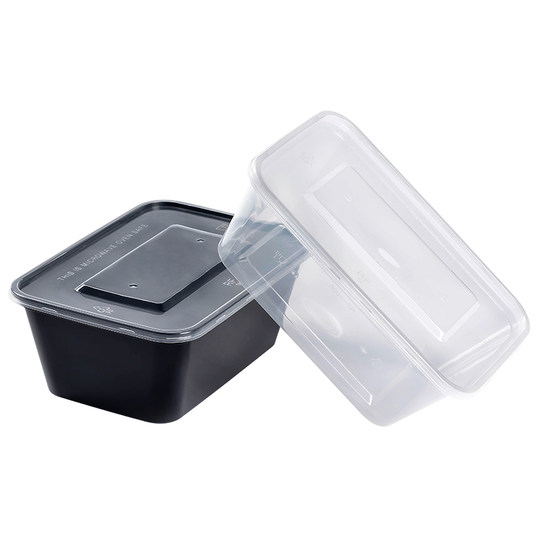 Disposable Plastic Lunch Box - Rectangular Takeaway Container