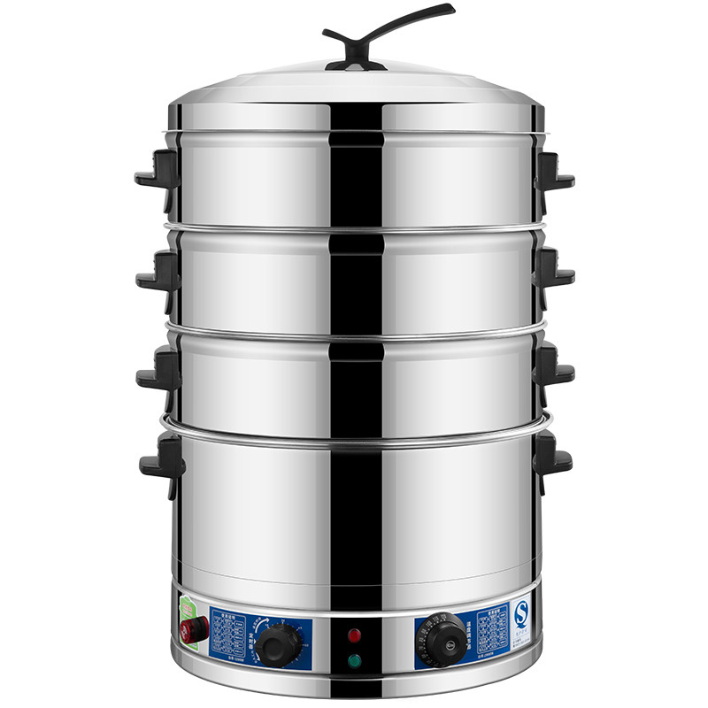 Electric Steamer - Multi-Functional Commercial Household Steamer with ...