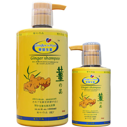 Hong Kong Qinye Ginger Shampoo for Hair Loss and Growth, Anti-Dandruff ...