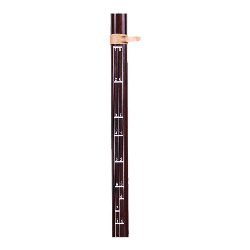 Erhu Intonation Fingering Stickers - Genuine Entry-Level Accessory for ...
