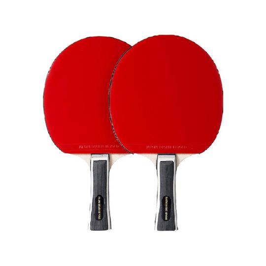 Raket Ping Pong 361° - Pemula hingga Profesional - Pemegang Elastik ...