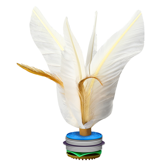 Volant sport kicking shuttlecock - résistant aux coups de pied pour ...