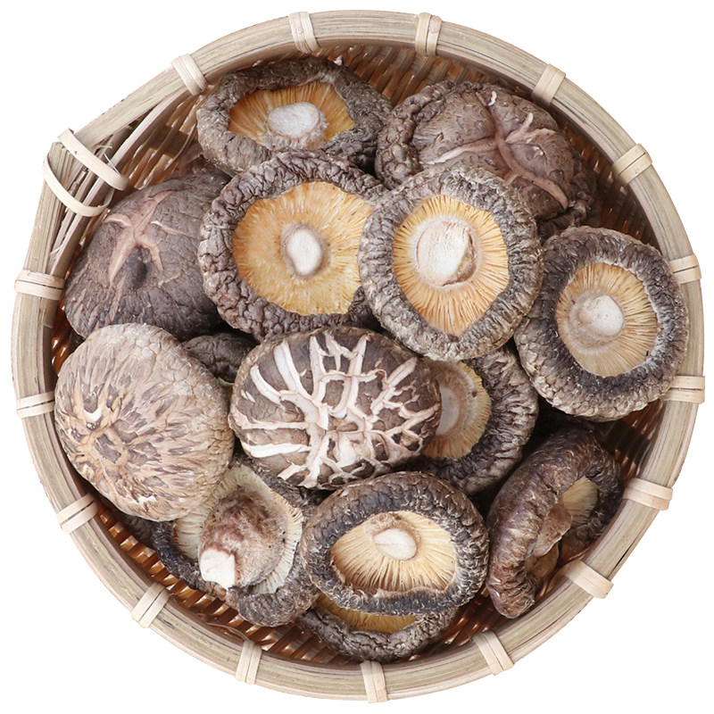 Grzyby Shiitake Xixia 2500g (5lbs) - Suszone Grzyby luzem