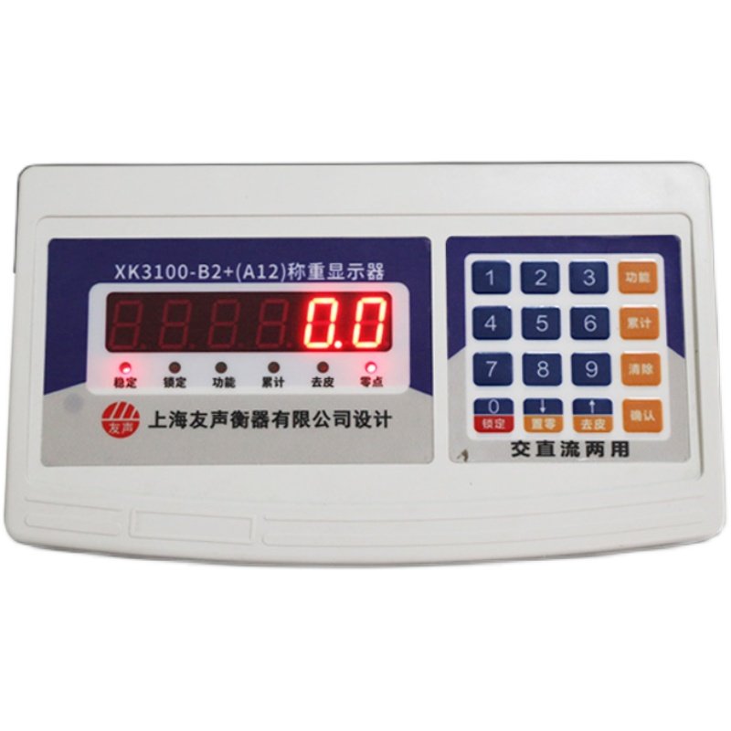 Shanghai Yousheng Electronic Ground Scale - High-Precision Industrial Scale