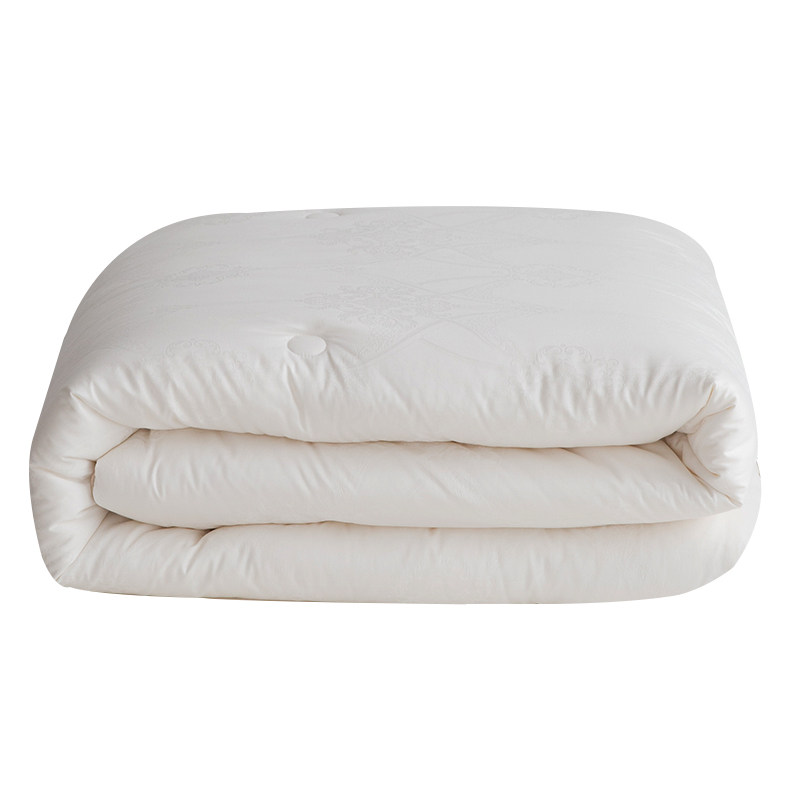 Shrimp's Story Soy Fiber Winter Quilt - Warm Thickened Quilt Core
