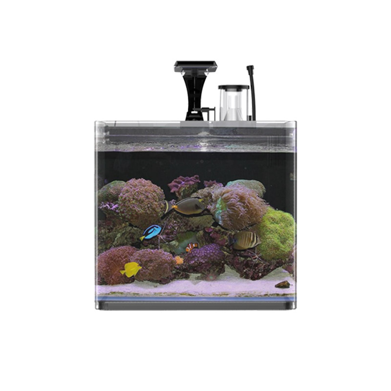 Seawater Fish Tank Aquarium Set | Curved Tank with Coral, Clownfish ...