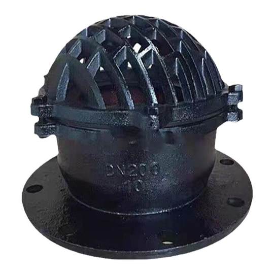 H42x-6/10 Flange Bottom Valve - One-Way Valve Check Valve Cast Iron Water Pump Internal Thread ...