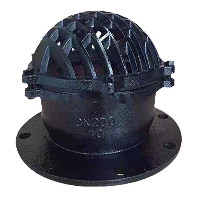 H42x-6/10 Flange Bottom Valve - One-Way Valve Check Valve Cast Iron Water Pump Internal Thread ...