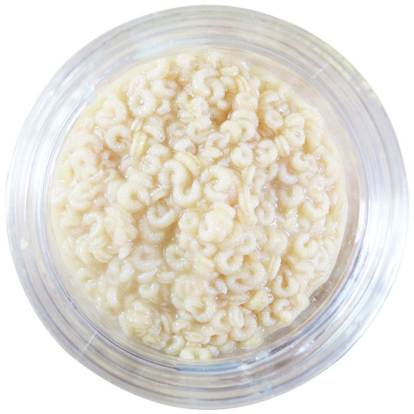 2023 fresh bee pupae, queen larvae | Ziang Maintainance