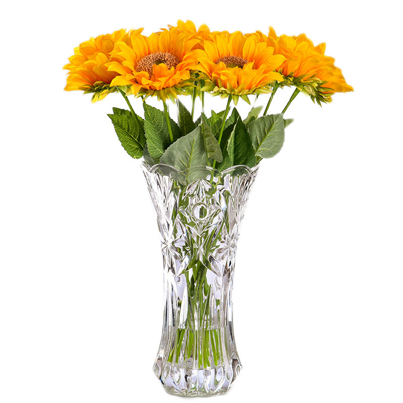 Simple Glass Vase for Living Room Flower Arrangement | Hydroponic Water ...