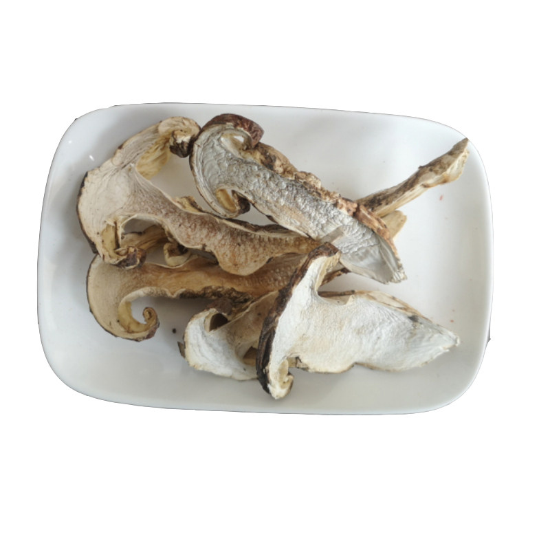 Wilder Matsutake-Pilz aus dem tibetischen Linzhi - Getrocknete Scheiben ...