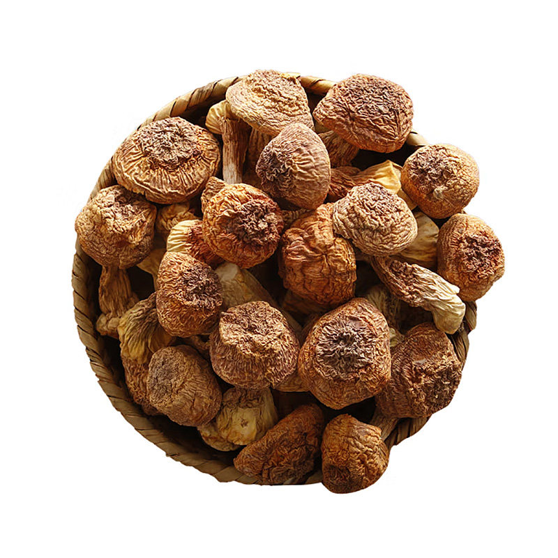 Yunnan Matsutake Mushroom Dried - 250g Agaricus Blazei